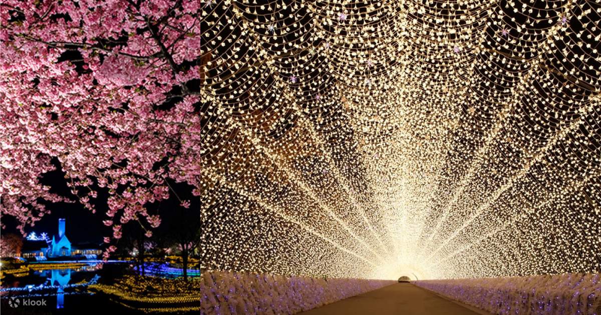 Outlet Nagashima & Tur Sehari Iluminasi Nabana no Sato - Klook Indonesia